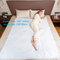 Electric Heated Bed Blanket Electric Heater supplier