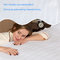Electric Heated Bed Blanket Electric Heater supplier